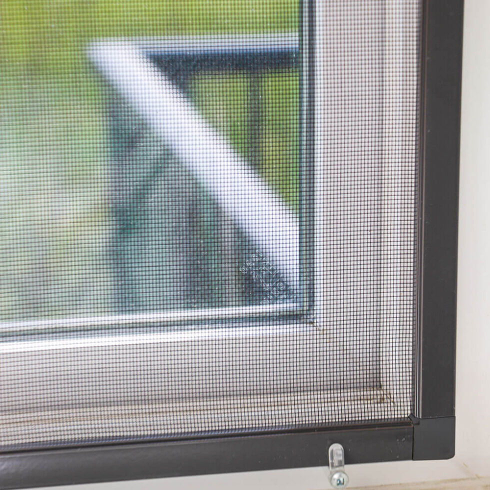 Comparing DIY vs. Professional Window Screen Repair in Coronado: Which ...